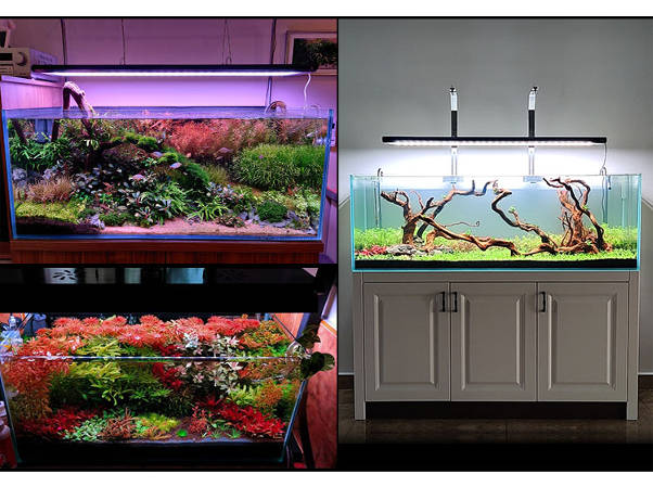 Week Aqua lampara led P900 PRO RGB-UV – Donor Pet – Distribuidores de ...