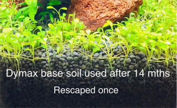 Dymax Base Soil 1 litro (sustrato PREMIUM) – Donor Pet – Distribuidores de productos para mascotas